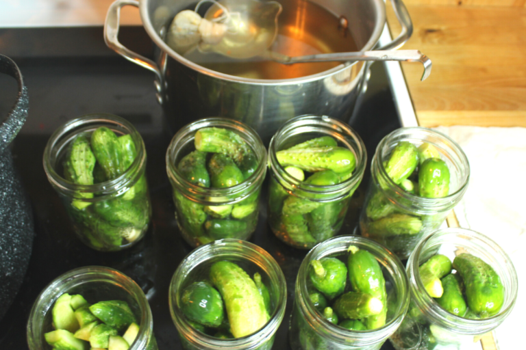 How to Water Bath Can Crunchy Dill Pickles - The Ranchers Homestead