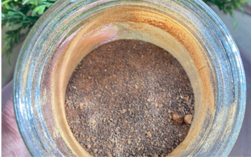 How to Make Dehydrated Beef Liver Capsules - The Ranchers Homestead
