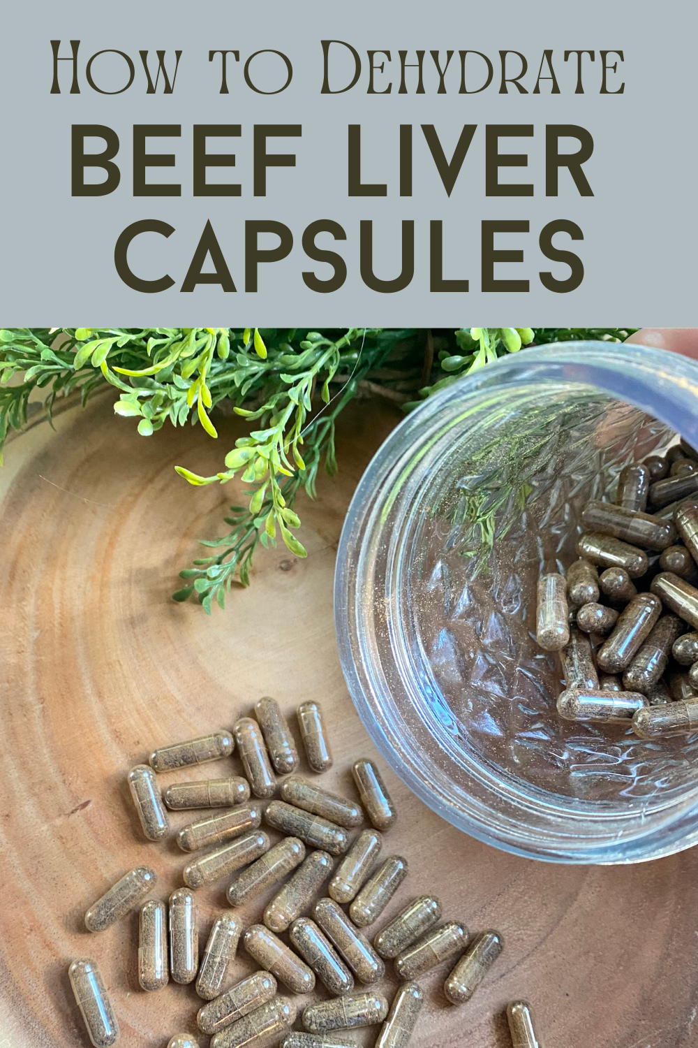 How to Make Dehydrated Beef Liver Capsules - The Ranchers Homestead