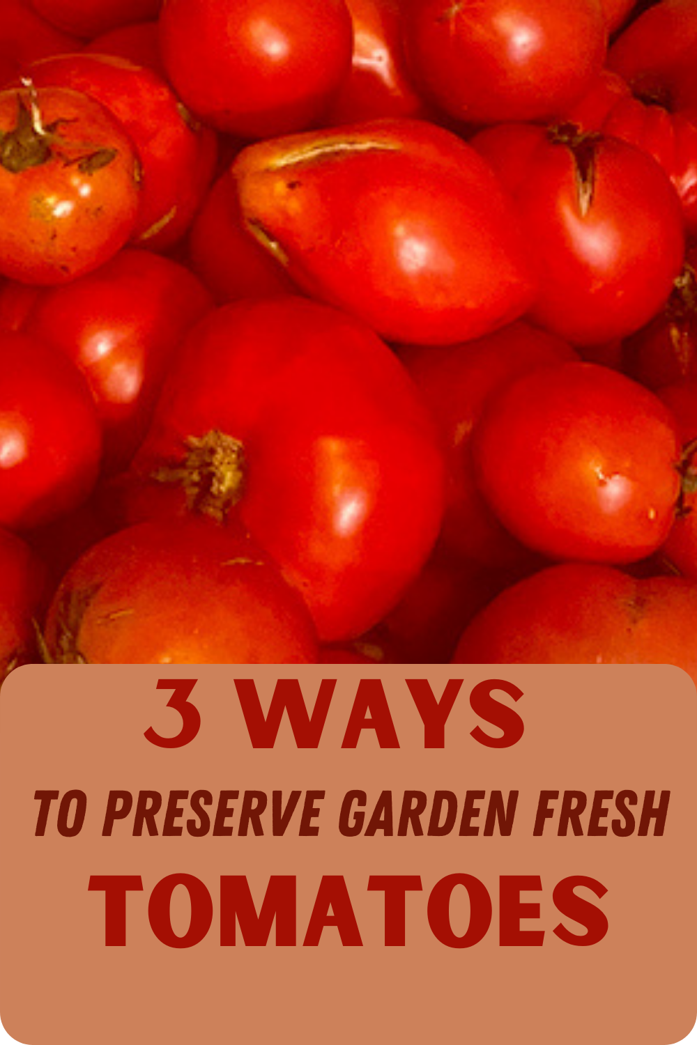 3 Easy Ways to Preserve Fresh Tomatoes - The Ranchers Homestead