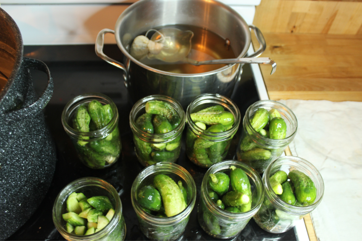 My BEST Food Preservation Methods on the Homestead - The Ranchers Homestead