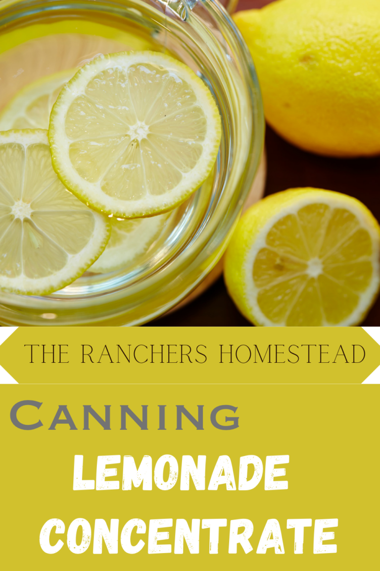 Canning Lemonade Concentrate to Enjoy All Year! - The Ranchers Homestead