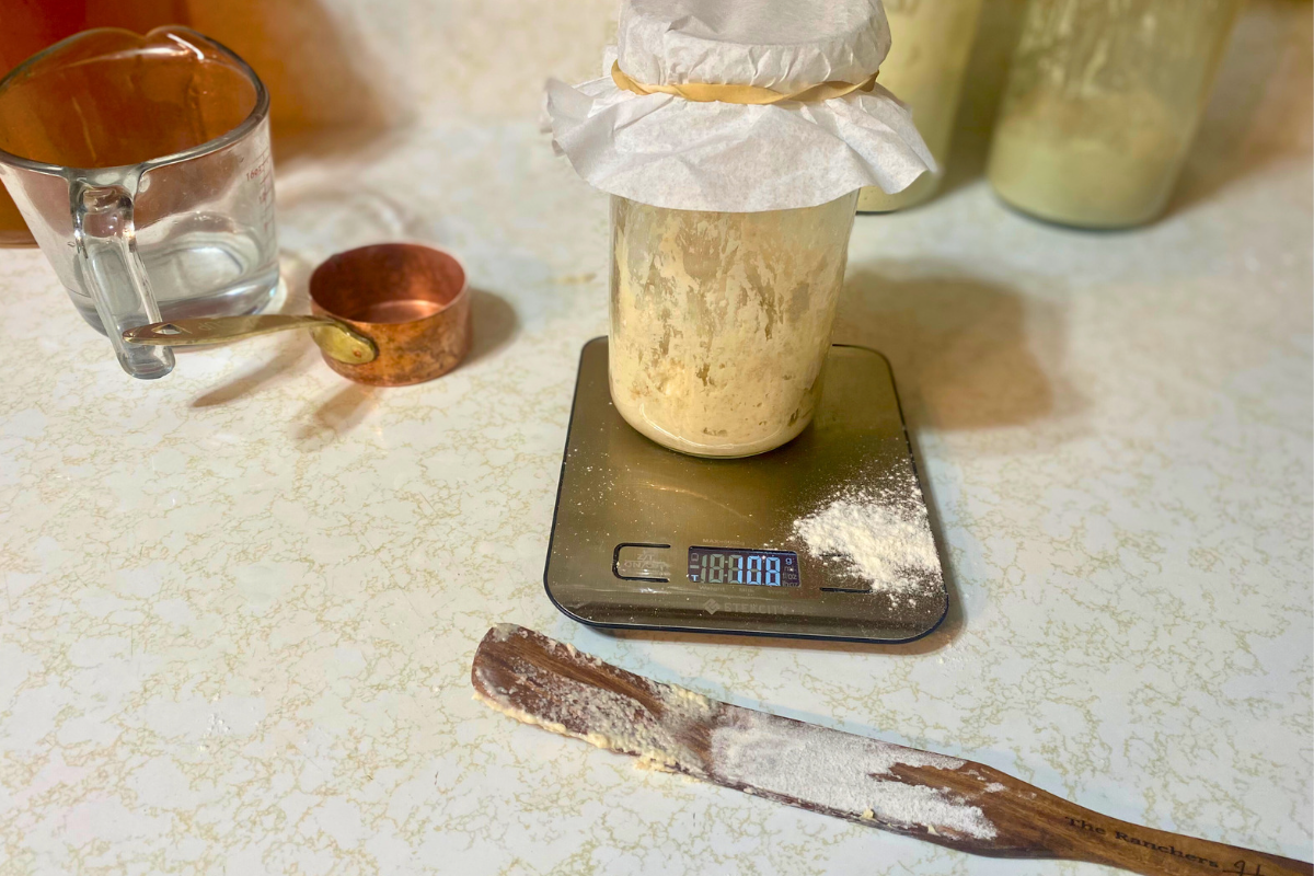 How Does Sourdough Starter Work and How to Get One Started? - The ...