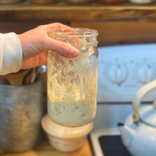 How Does Sourdough Starter Work and How to Get One Started? - The ...