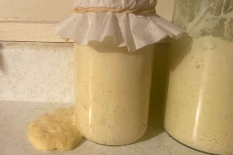 How Does Sourdough Starter Work and How to Get One Started? - The ...